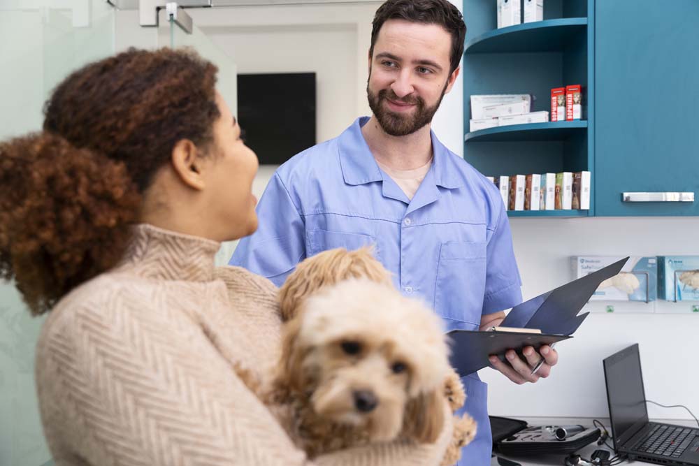 Understanding Vet Fees: What Goes into the Cost of Care?